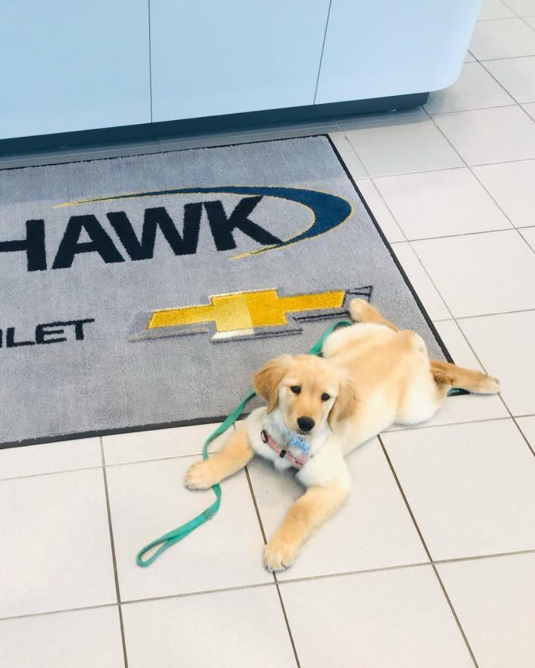 Mohawk Chevrolet - Ballston Spa, NY | Cars.com