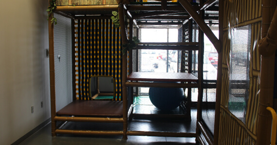 Expressway Chevrolet GMC - Mt Vernon, IN | Cars.com