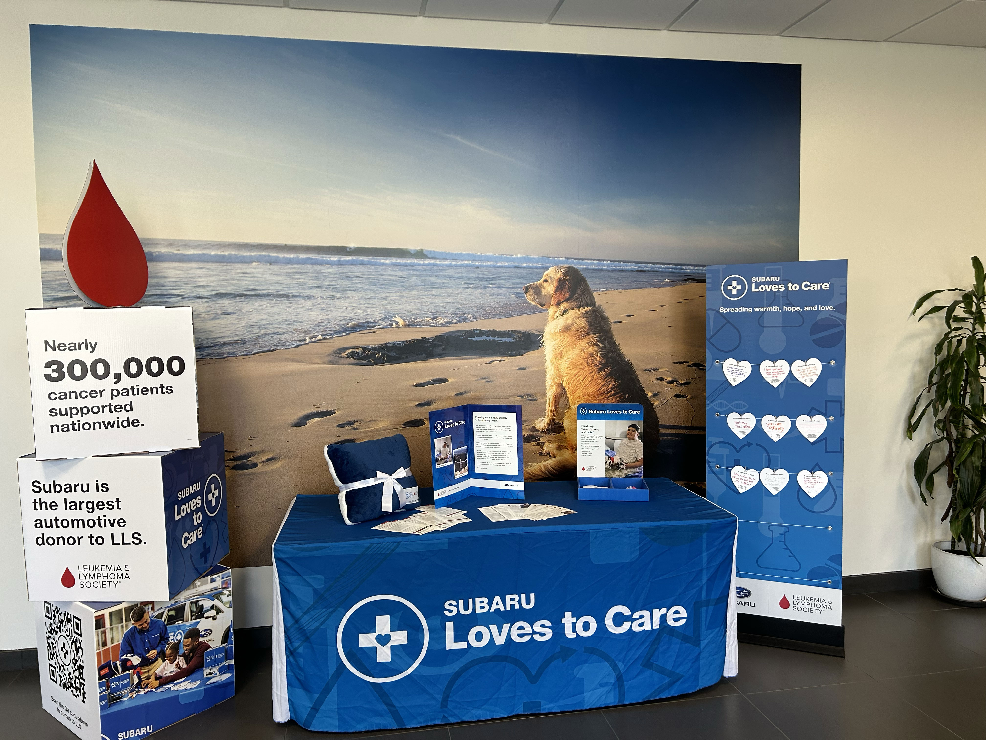 Albany Subaru - Albany, CA | Cars.com