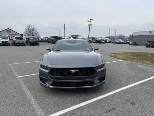 New and Used 2026 Ford Mustang for Sale Near Elizabeth, PA | Cars.com